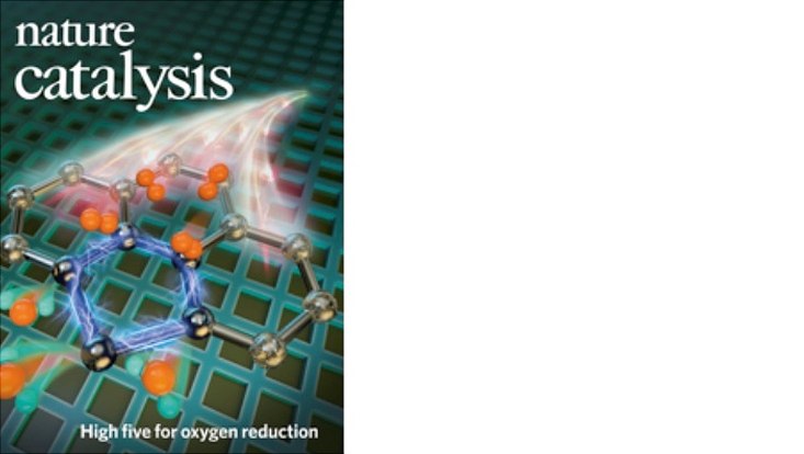 Neue E-Zeitschrift: Nature catalysis : Fachbereich Chemie : Universität ...